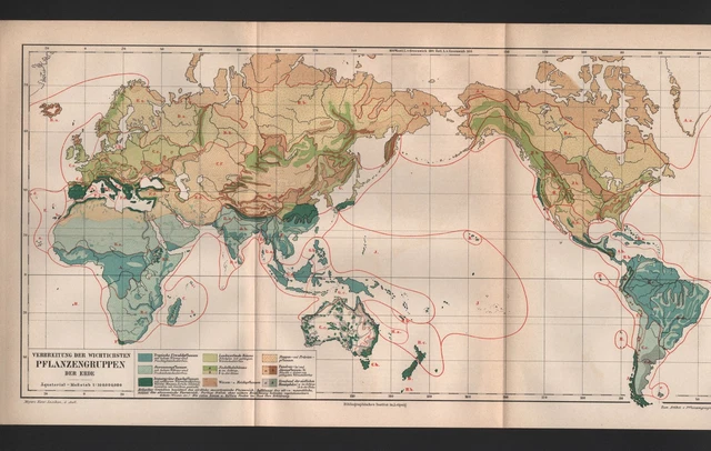 MAP MAP 1890: distribution of the most important plant groups on earth ...