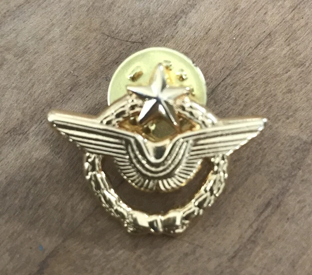 PIN'S -PIN MILITAIRE Brevet Armee De L'air EUR 3,00 - PicClick FR