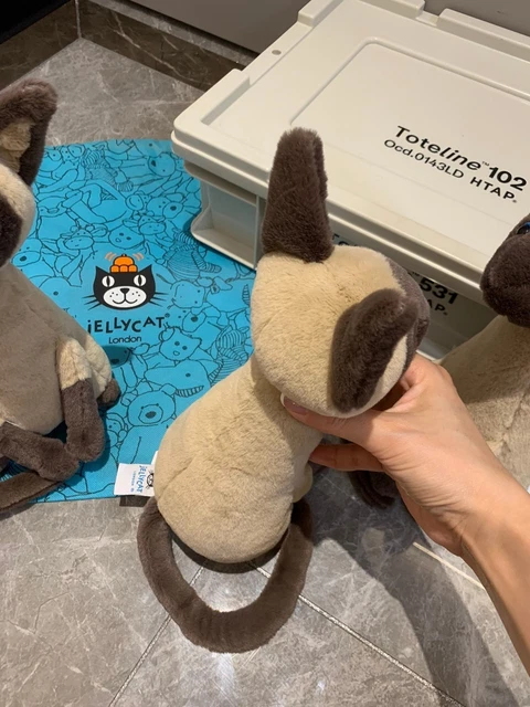 JELLYCAT IRIS SIAMESE CAT Soft Plush Toy NWT £25.99 - PicClick UK