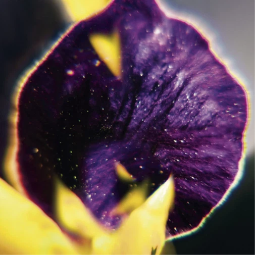 FIS FROM PATTERNS to Details (CD) Album EUR 20,42 - PicClick FR