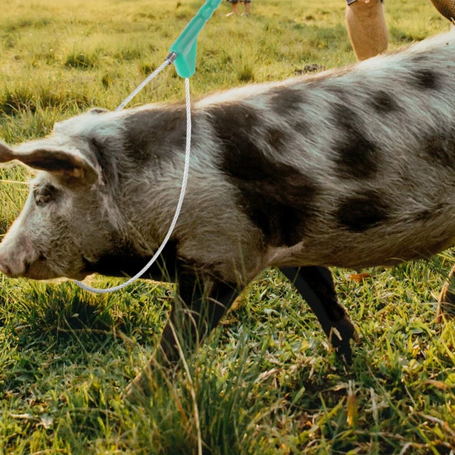 PIG CATCHER CATTLE Sheep Catcher Catcher For Livestock Animal Catcher £ ...