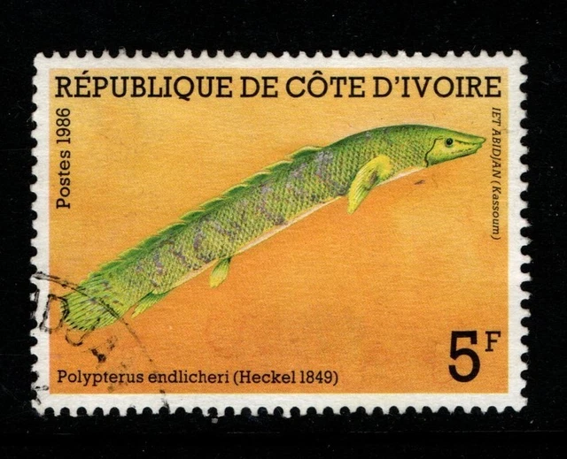 IVORY COAST COTE D'Ivoire 1986 5f Fish SG907 Used $1.00 - PicClick AU