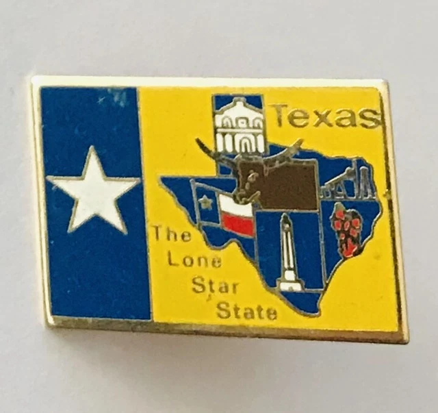 TEXAS PIN BADGE Lone Star State Buffalo Flag Design Rare Vintage ...