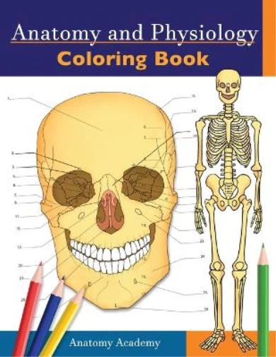 ANATOMY ACADEMY ANATOMY and Physiology Coloring Book (Poche) EUR 23,87 ...