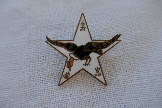 INSIGNE INDOCHINE GARDE pénitencier de Poulo Condore au Vietnam EUR 141 ...