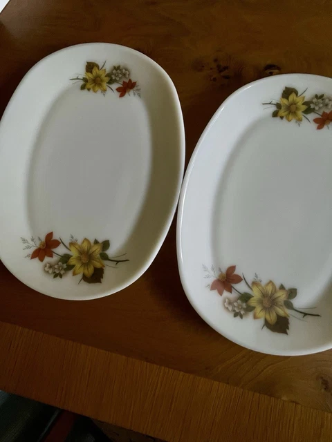 PYREX JAJ AUTUMN Glory Oval Plates Steak Platters Vintage 30 X 23cm x2 ...