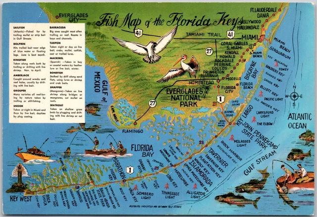 FISH MAP FLORIDA Keys Species Fishing Bay Gulf Stream Pelican Vintage ...