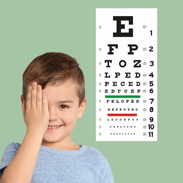 SNELLEN EYE CHART Eye Charts for Eye Exams 20 Feet Low Vision Eye Test ...