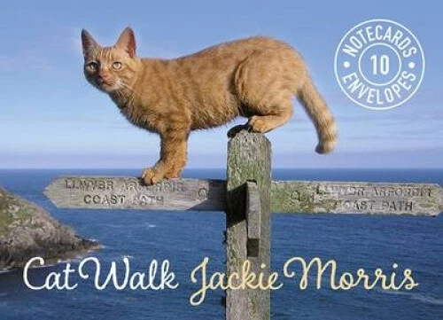 CAT WALK NOTECARDS: 10 Cards and Envelopes by Morris, Jackie £8.55 ...