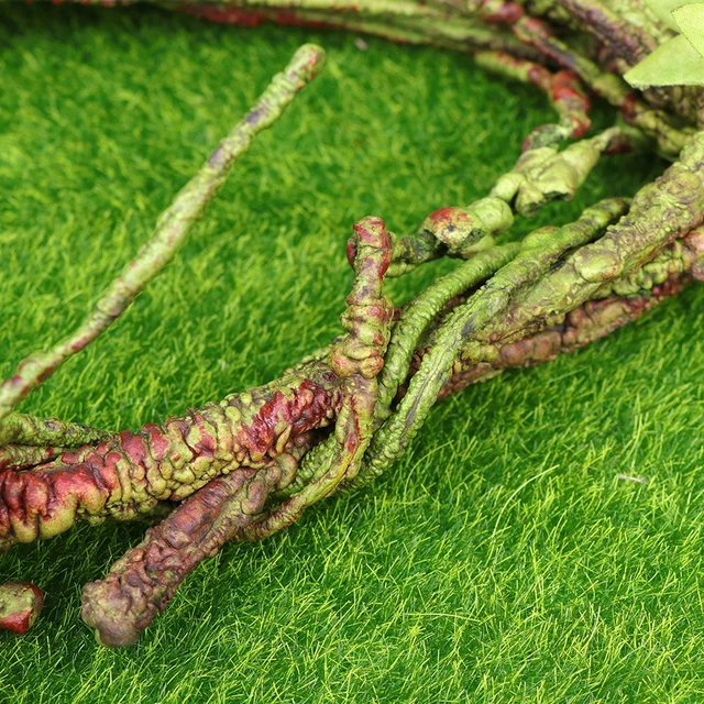 2 PCS PET Box Rattan Decor Simulation Perching Container Adornment $29. ...