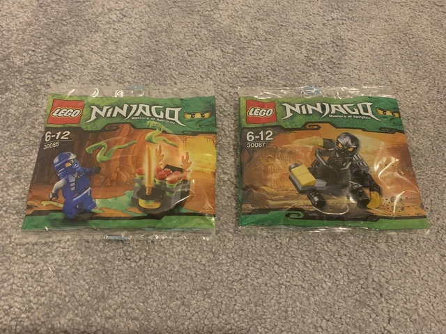 LEGO NINJAGO JUMPING Snakes (30085) Masters of Spinjitzu Cole ZXs Car ...