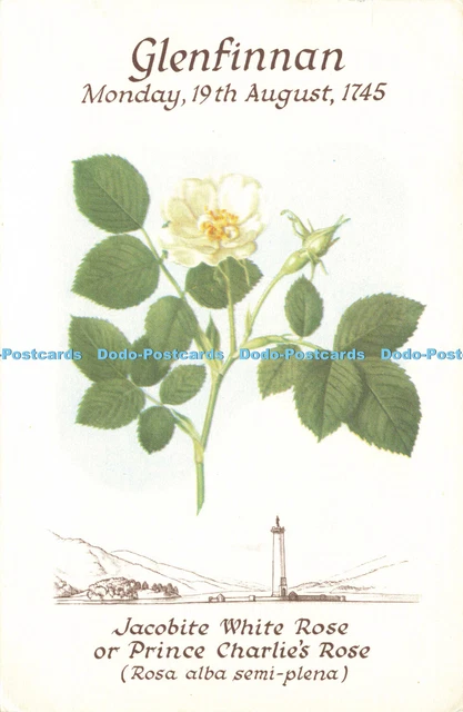 D151970 GLENFINNAN. JACOBITE weiße Rose. Bessie Darling Inglis. Die ...