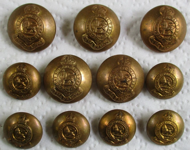 SET OF 11X British Army:"1st ROYAL DRAGOONS BRASS BUTTONS" (24mm-18mm ...