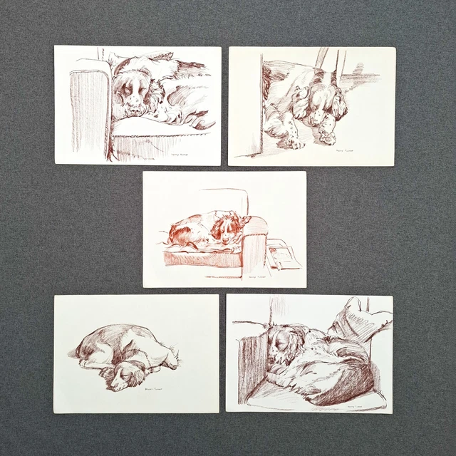 SPANIEL DOG ORIGINAL sketch drawings study vintage 60s wall art bundle ...