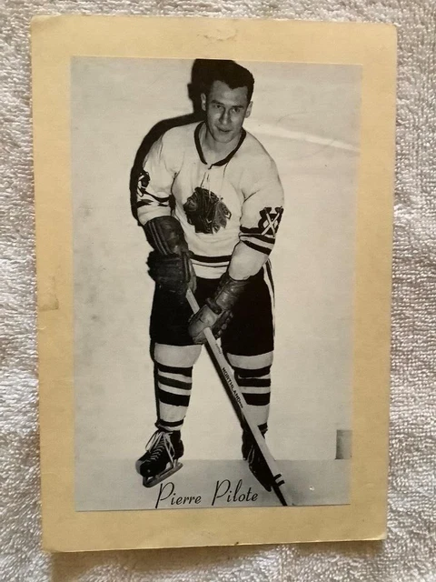 PIERRE PILOTE - Chicago Black Hawks Nhl - Beehive Photo B&W 1964 $10.00 ...