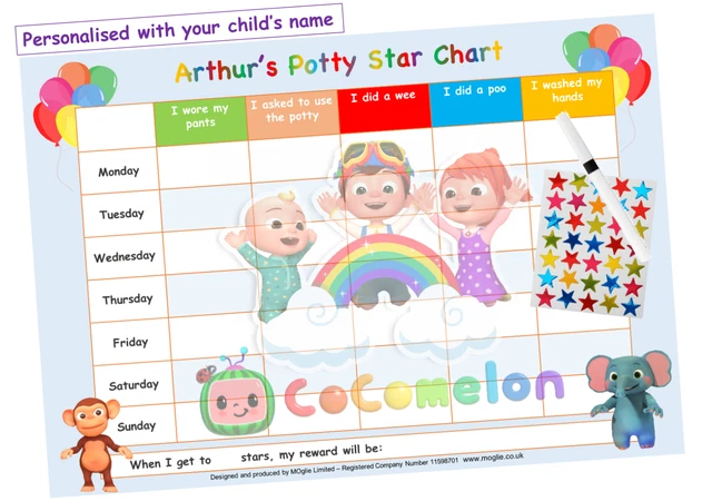 PAW PATROL POTTY AND TOILET REWARD CHART AND STICKERS educational £3.90 ...