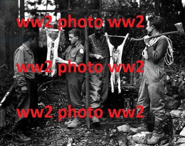 US WW2 PHOTO Metz Fort Driant Moselle Lorraine Vosges Meuse Alsace Heer ...
