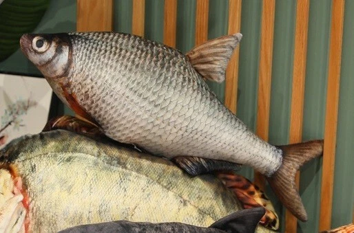 OLIVE BARB CARP Fish 12 Inch Pillow Stuffed Animal Plush Toys Doll Kids ...