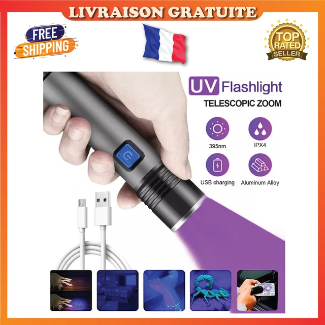 LAMPE TORCHE DE poche rechargeable LED UV blacklight Lumière noire Ultraviolet EUR 11,04 ...