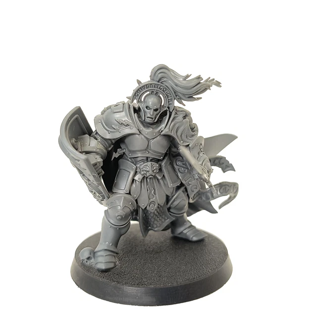 KNIGHT QUESTOR STORMCAST Eternals Age of Sigmar Warhammer Quest Torre d ...