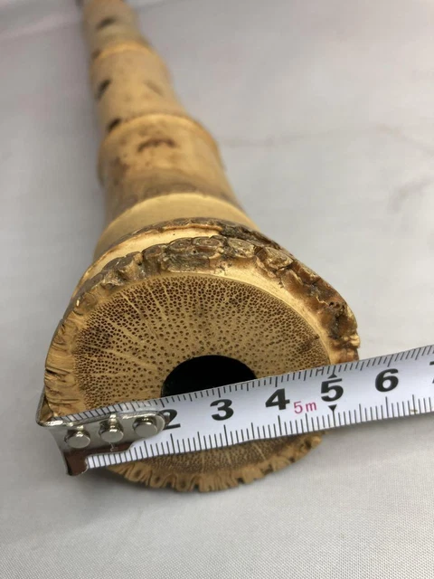 SHAKUHACHI TAKEHARU STRUMENTO musicale flauto bambù giapponese J8967 EUR 201,60 - PicClick IT