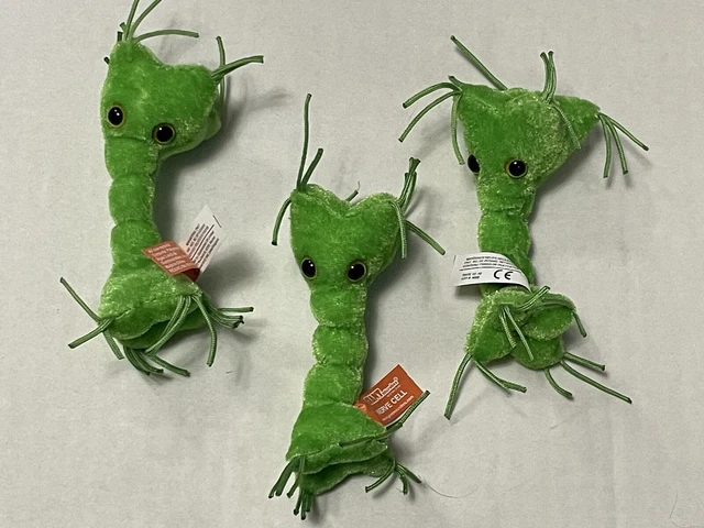 GIANT MICROBES-NERVE CELL PETRI DISH-Stuffed Plush Neuron Spine Synapse ...