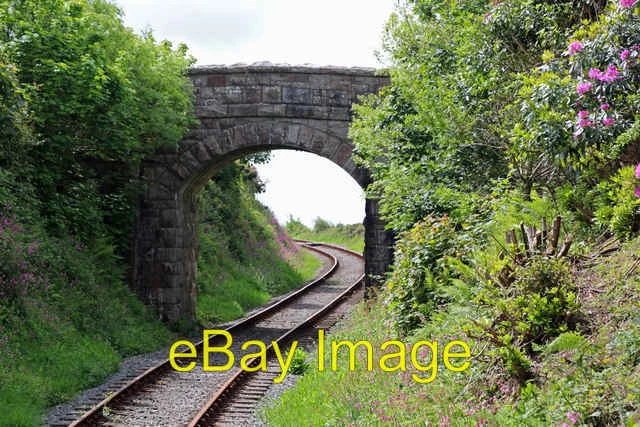 PHOTO 6X4 HELSTON Railway - cattle crossing over line Chynhale A site ...