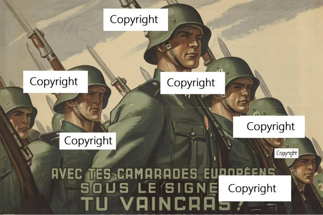 ALL WW2 LVF Milice Police GMR Gendarmerie 1943 1944 FFI FTP wh Heer CJF ...