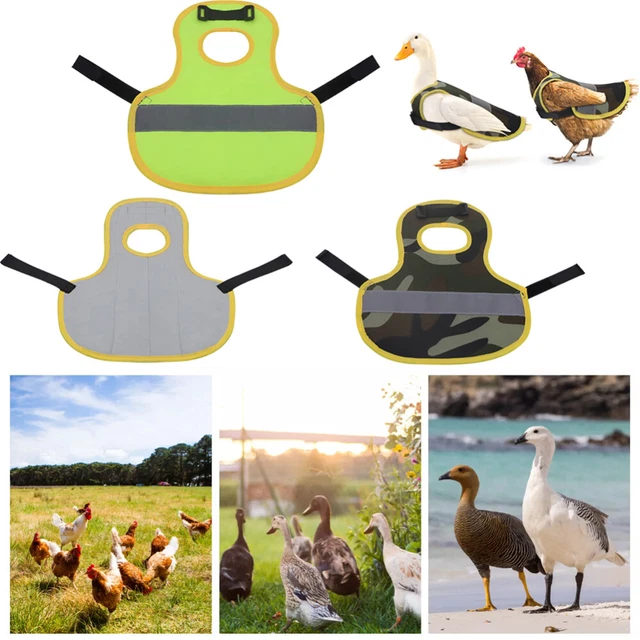 PET REFLECTIVE VEST Chicken Soft Harness Saddle Apron Hen Duck Goose ...
