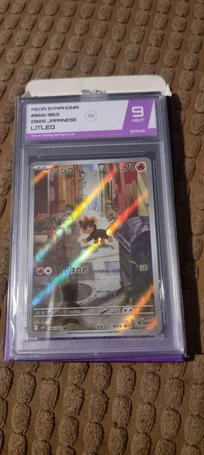 POKÉMON TCG...GRADED CARD-LITLEO AR🔥 Japanese Card Grade 9 £18.29 ...