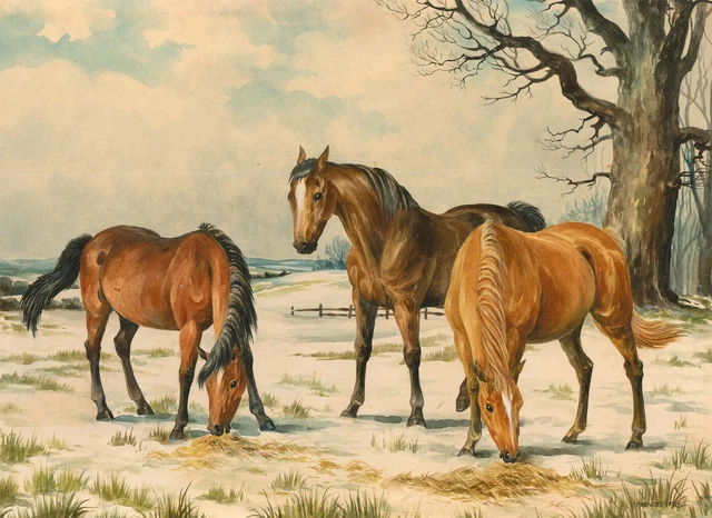 FRANCES FRY - Contemporary Watercolour, Chestnuts in the Snow $273.76 ...