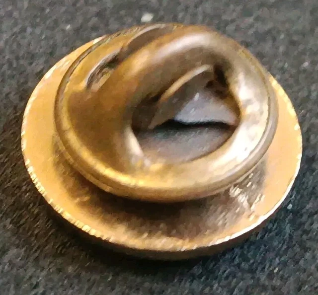 SPILLA PINS DISTINTIVO Stemma Simbolo Badge Logo Crest Club Atalanta ...