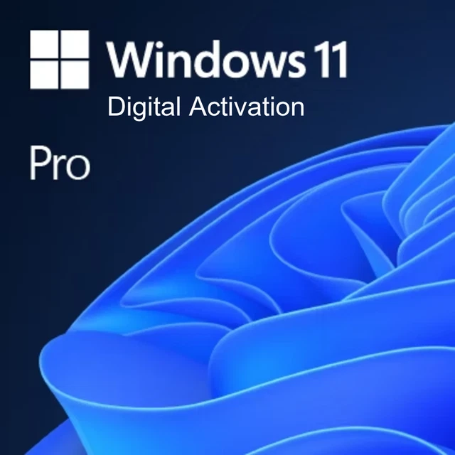 MS WINDOWS 11 Pro Professional 64 Bit Operating System £17.99 - PicClick UK