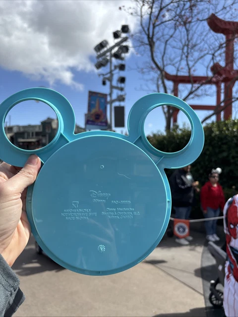 DISNEYLAND 2025 FOOD And Wine Exclusive Plate DCA Disney Parks Map $80. ...