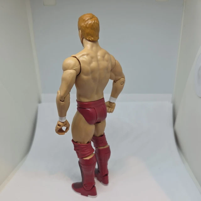 WWE WRESTLING BASIC Series 11 Daniel Bryan Action Figure 2011 Mattel £5 ...
