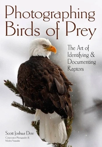 PHOTOGRAPHING BIRDS OF Prey: The Art of Identifying & Documenting ...