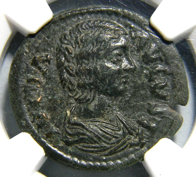 ROMAN COIN PISIDIA Antiochia Julia Domna Ad 193-217 NGC Choice XF £234. ...