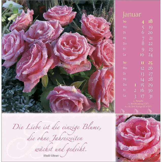 DORO ZACHMANN | Rosenduft mit lieben Wünschen 2026 | Kalender | Deutsch ...