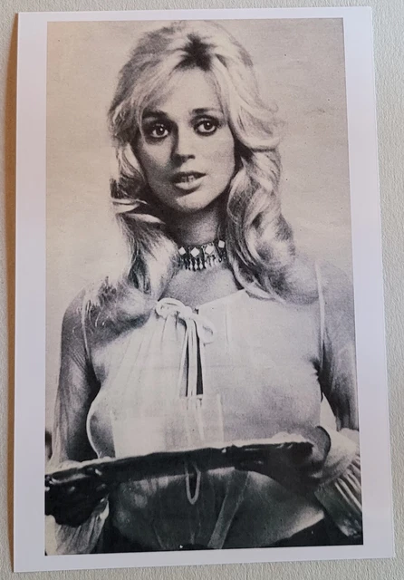 SCHAUSPIELERIN SYBIL DANNING Erotik/Film-Star-Foto im Format ca.13 x 19 cm #8668 £6.18 - PicClick UK