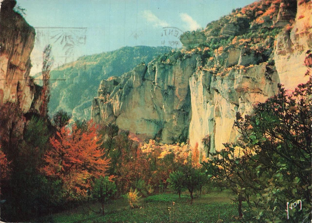 48 LES Gorges Du Tarn Cirque Des Baumes EUR 5,90 - PicClick FR