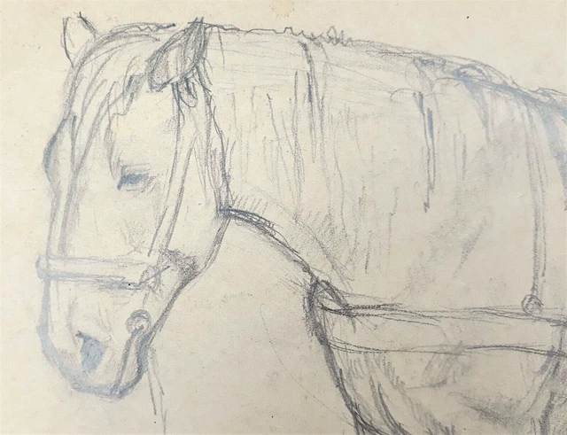 ZEICHNUNG STUDIE, CARL Mummert, Pferd, Signiert, um 1900, Absolute ...
