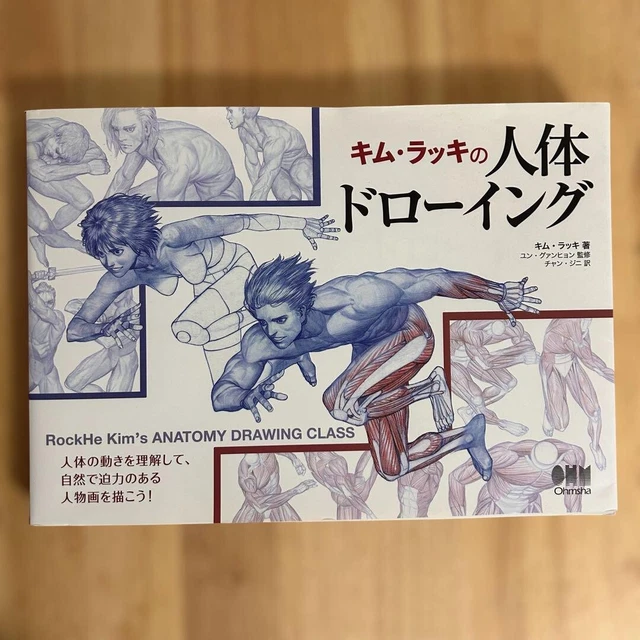 HOW TO DRAW Human muscle Body Kim Rakki Anime Manga human body drawing ...