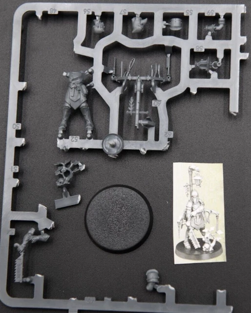 WARHAMMER AOS CITIES of Sigmar Freeguild Command Corps War Surgeon New ...