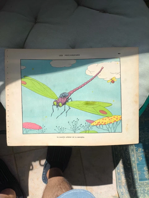 5 IMAGES D'UN ancien livre de benjamin rabier EUR 4,00 - PicClick FR