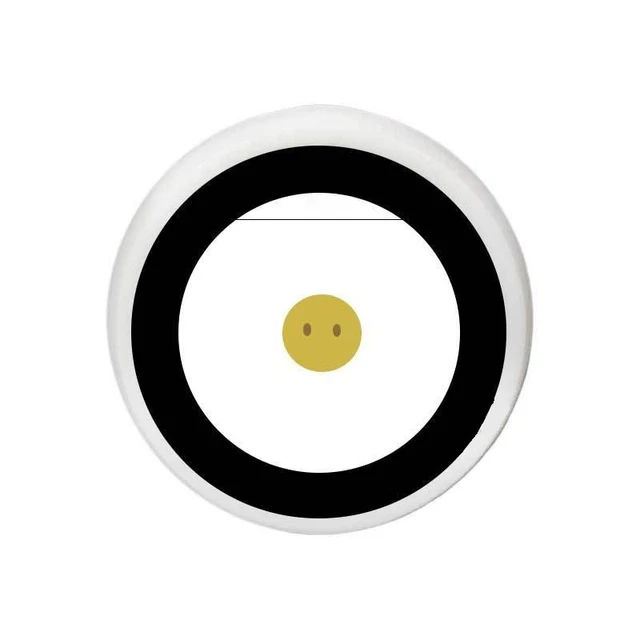 FOR DEEPSEEK VOICE Chat Robot with User friendly Interface for ESP32S3 ...