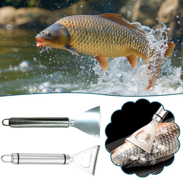 STAINLESS STEEL FISH Cleaner Scaler Scraper Peeler Fish Scale Remover ...