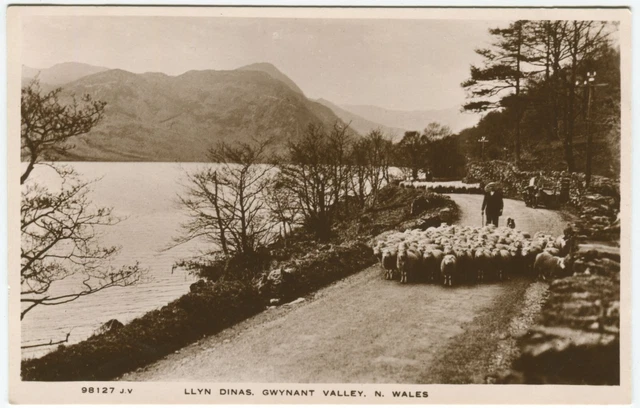 LLYN DINAS GWYNANT, NORTH WALES, SHEPHERD, SHEEP - Caernarvonshire ...