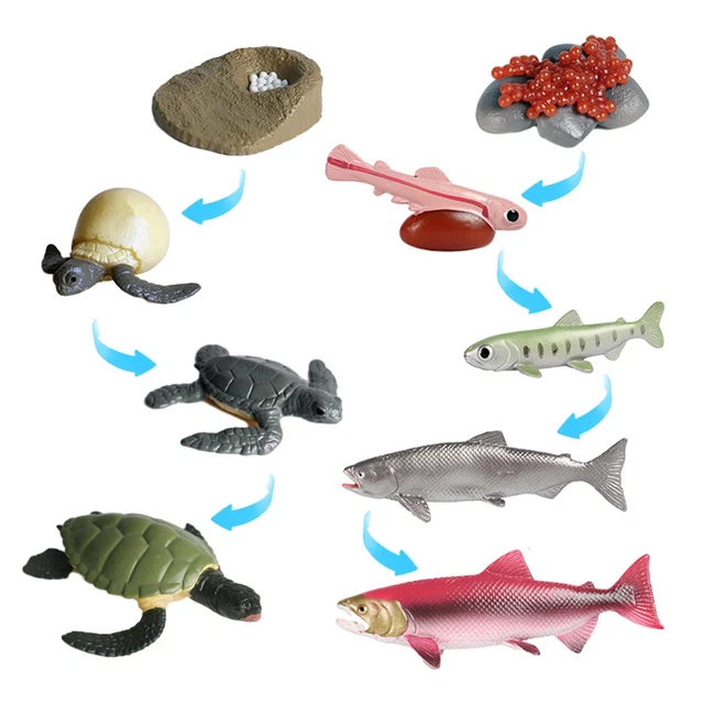 9PCS ANIMAL LIFE Cycle Figurines of Sea Turtle and Salmon Fish Animal ...