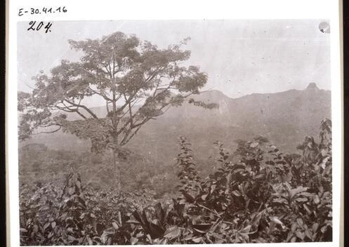 BARUE SCENERY BOMBE early 1900s Old Photo EUR 6,30 - PicClick FR