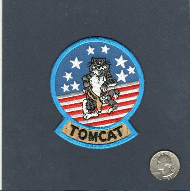 GRUMMAN F-14 TOMCAT fighter US navy squadron top gun PVC rubber 3D hook patch EUR 8,24 - PicClick IT